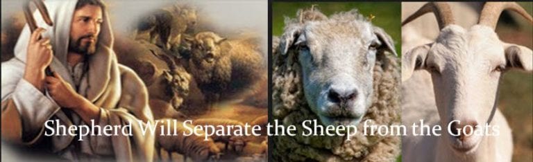 separating sheep from goats | Hebrew Nation Online