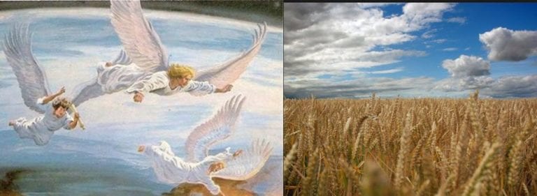 angels in harvest field | Hebrew Nation Online
