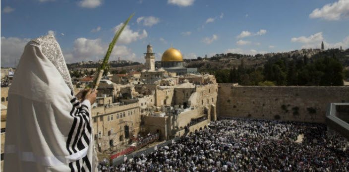 shemitah_jubilee patterns | Hebrew Nation Online