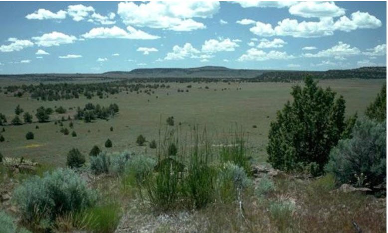 Hammond ranch | Hebrew Nation Online