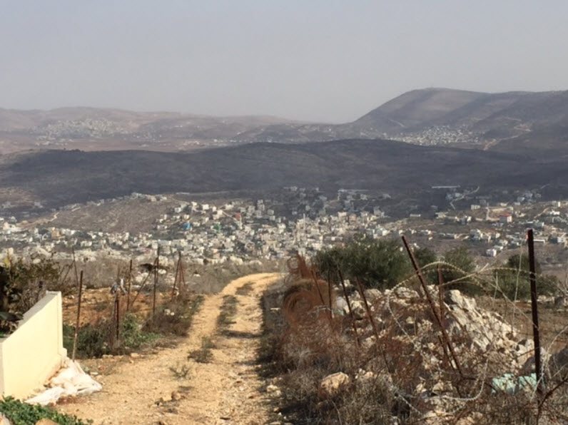 vineyard on Mt Gerizim | Hebrew Nation Online
