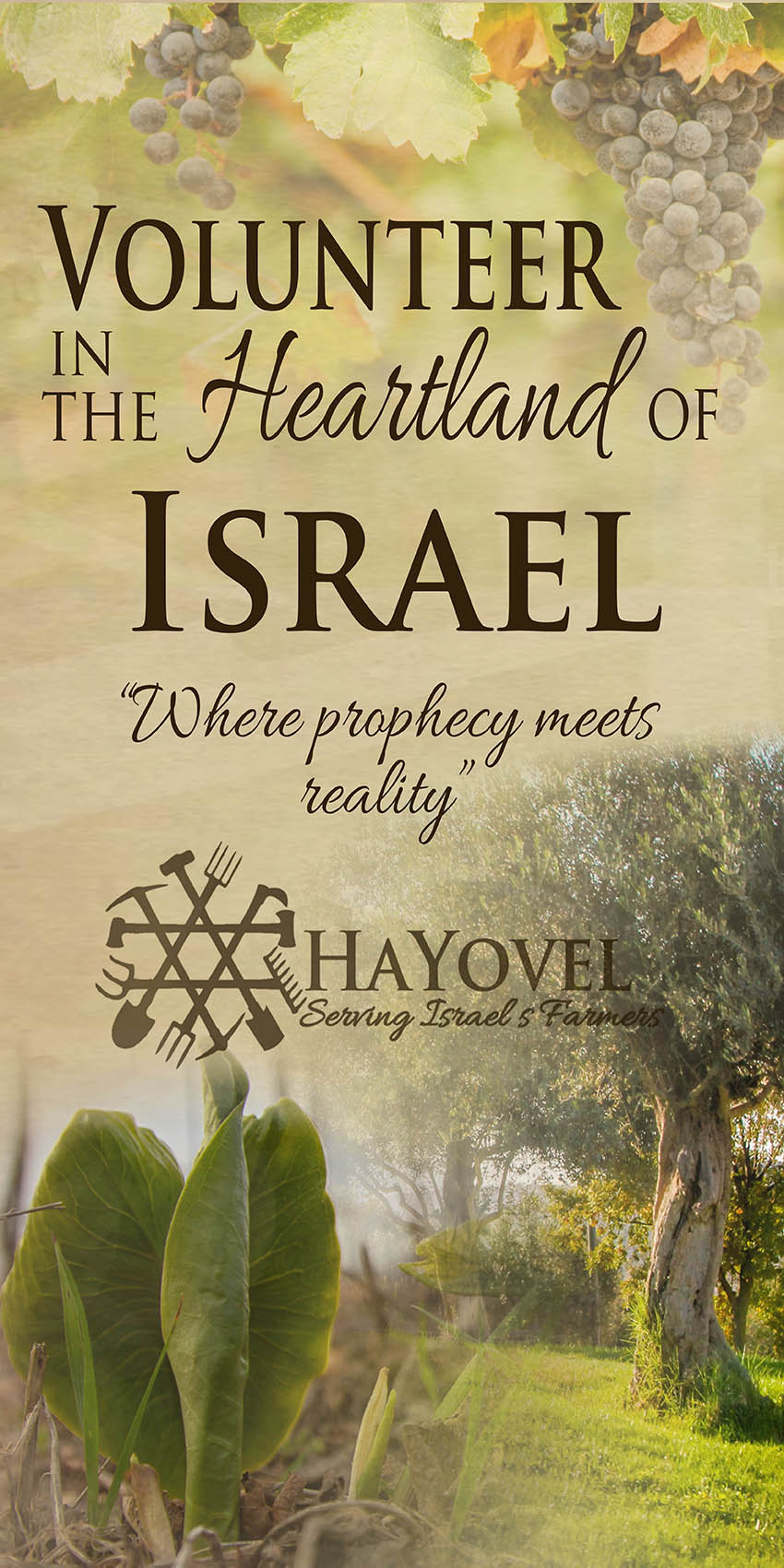 hayovel-tower | Hebrew Nation Online