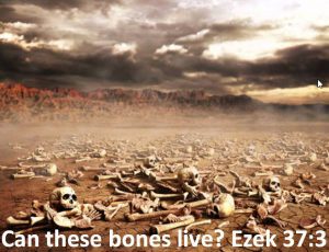 Ezekiel, Can These Bones Live? | Hebrew Nation Online